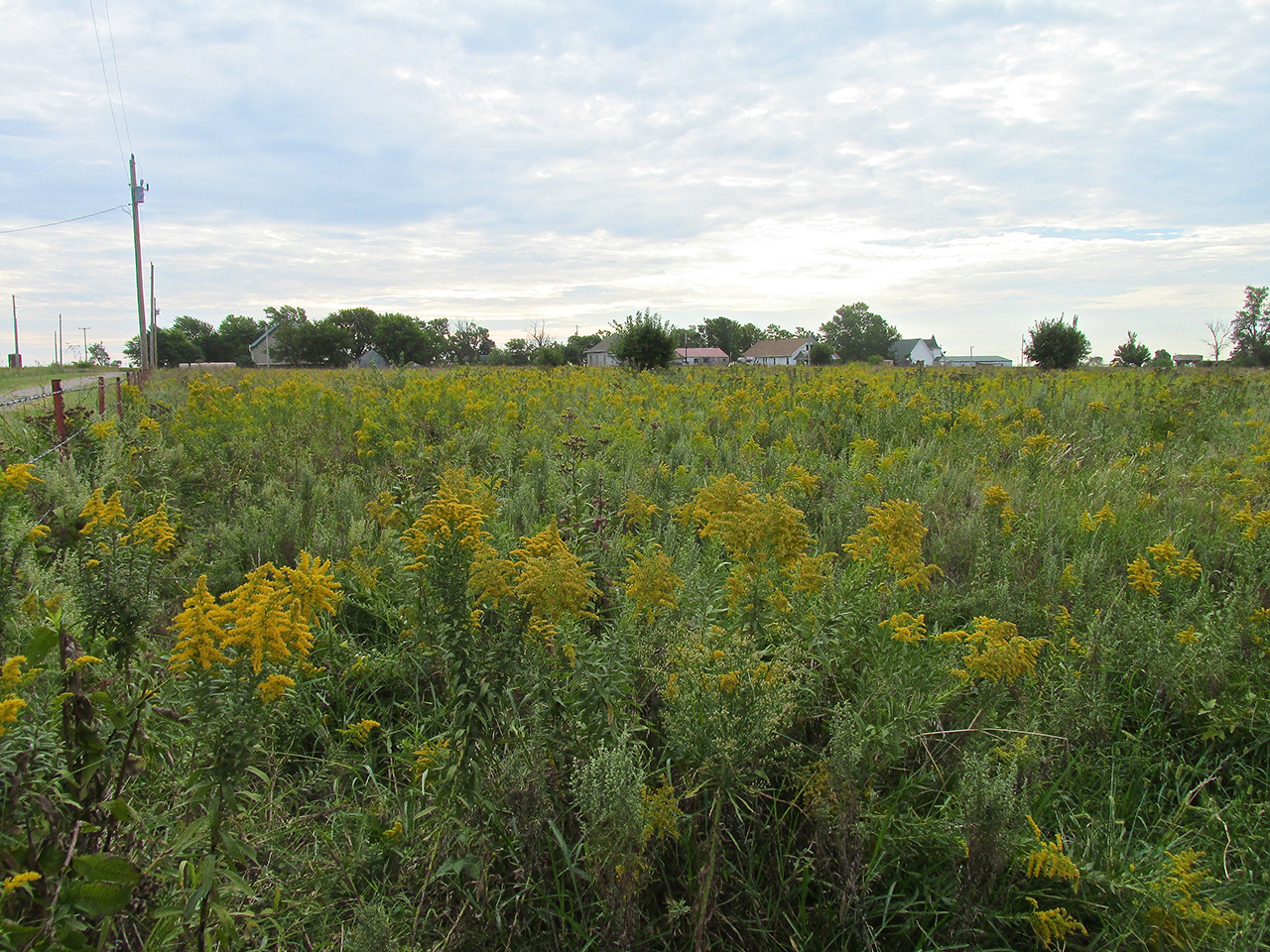 Cowboy Country – A Flight To Foraker, Oklahoma by Brian FitzGerald ...